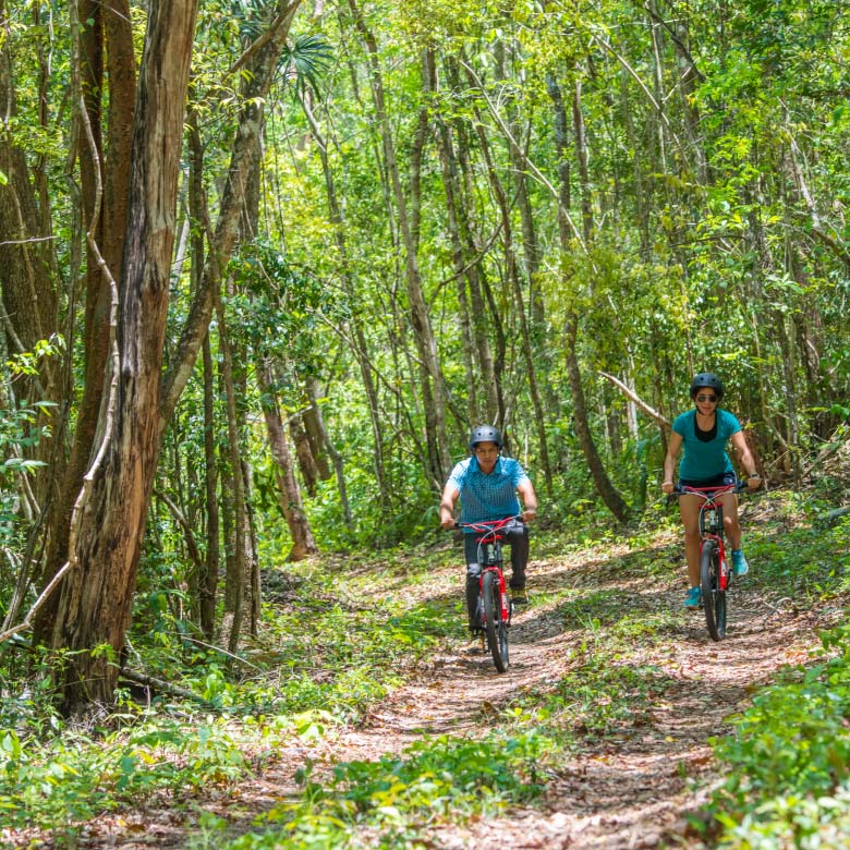 ¿Qué hacer en Miguel Colorado? - MIguel Colorado
