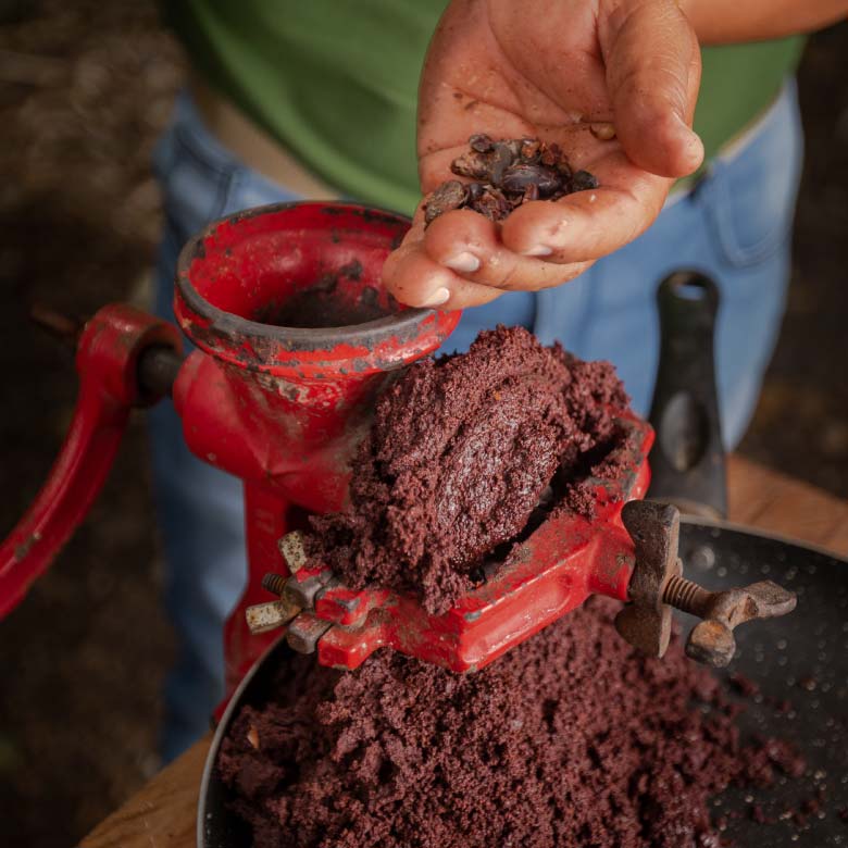 Inicio - MIguel Colorado