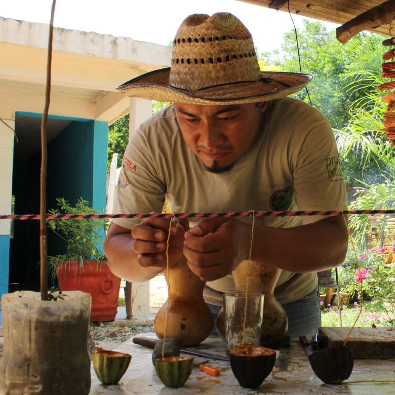 Inicio - MIguel Colorado