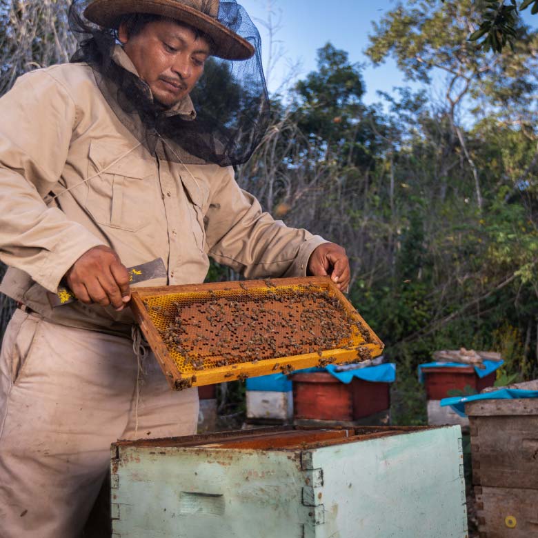 Inicio - MIguel Colorado